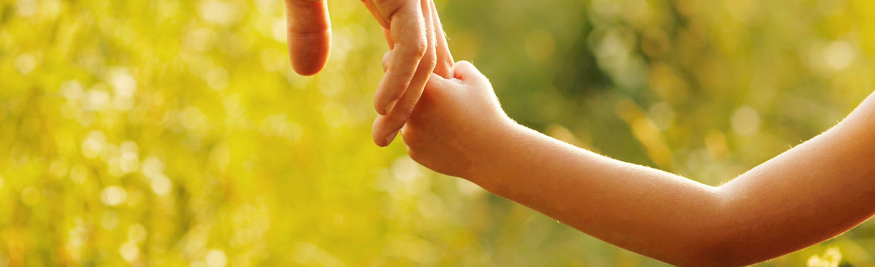 Collaboration - Makans